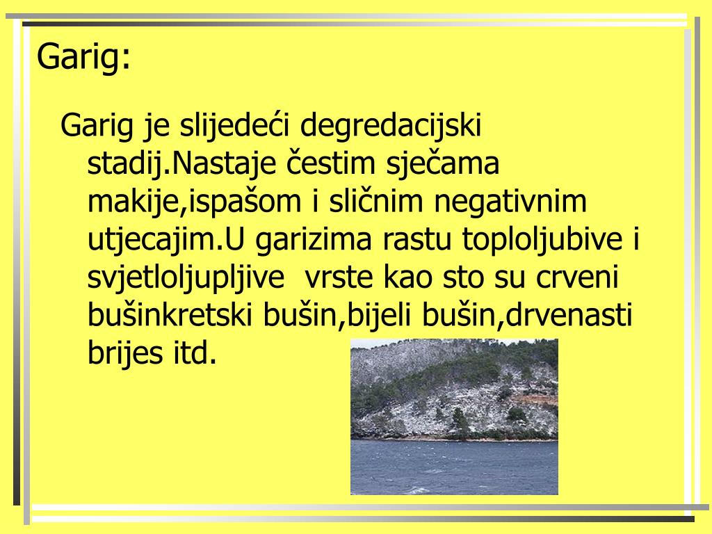 PPT - Tlo i biljni pokrov Pelješca PowerPoint Presentation, free ...