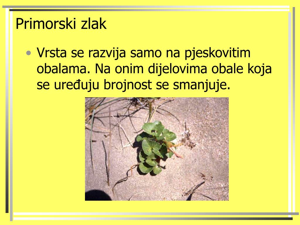 PPT - Tlo i biljni pokrov Pelješca PowerPoint Presentation, free ...