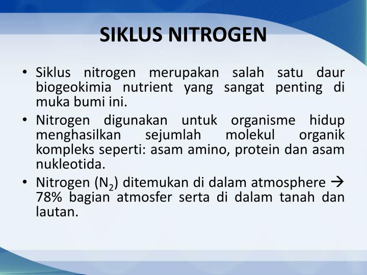 PPT - Siklus nitrogen PowerPoint Presentation - ID:4013240