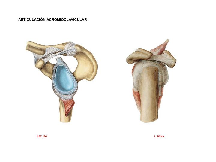 PPT - ENCAJE RECIPROCO PowerPoint Presentation - ID:4014719