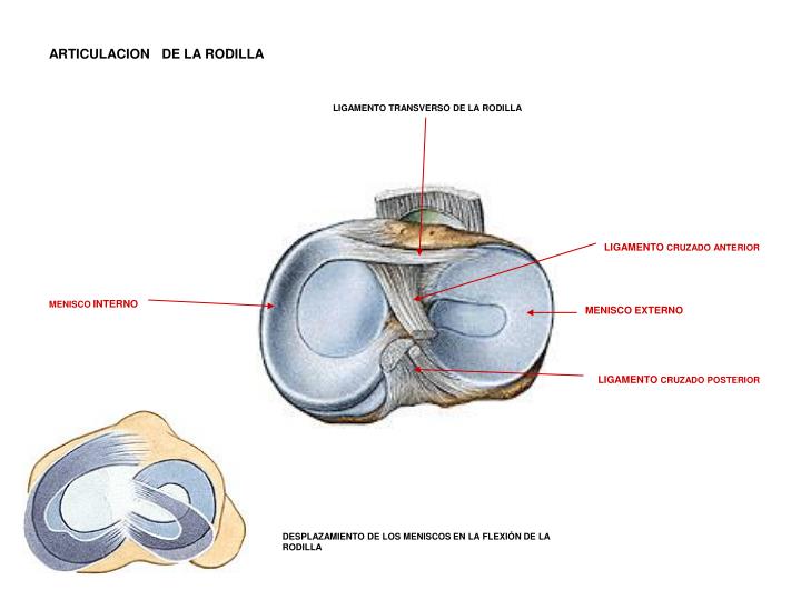 PPT - ENCAJE RECIPROCO PowerPoint Presentation - ID:4014719