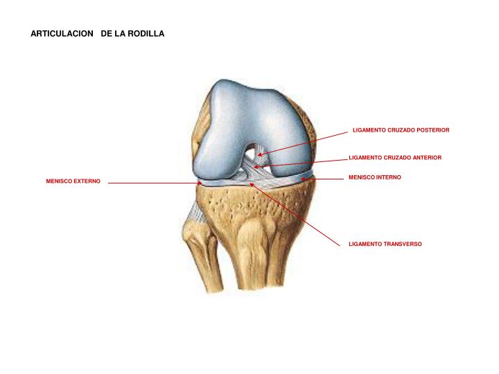 PPT - ENCAJE RECIPROCO PowerPoint Presentation - ID:4014719