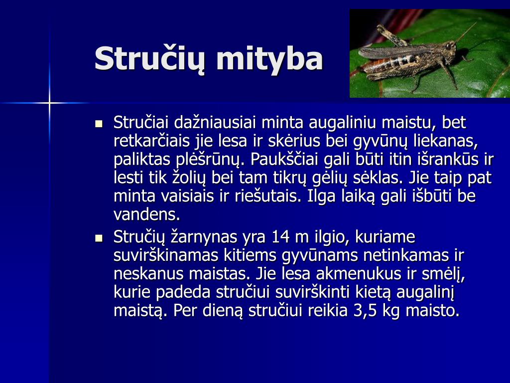 PPT - Pareng ė : A vi ž ie nių vidurinės mokykl os 4c klasės mokinys ...