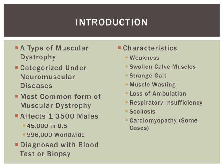 PPT - Duchenne muscular dystrophy (DMD) PowerPoint Presentation - ID ...