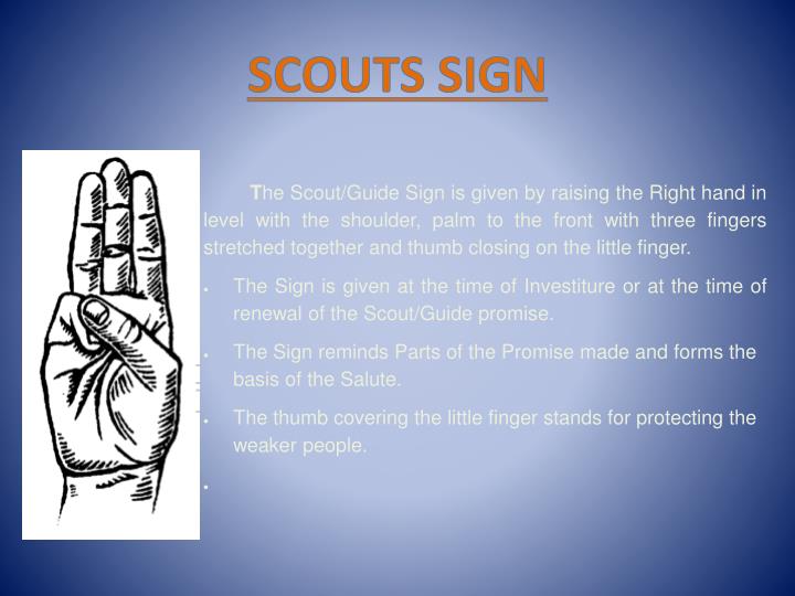 PPT - World Scout PowerPoint Presentation - ID:4018611