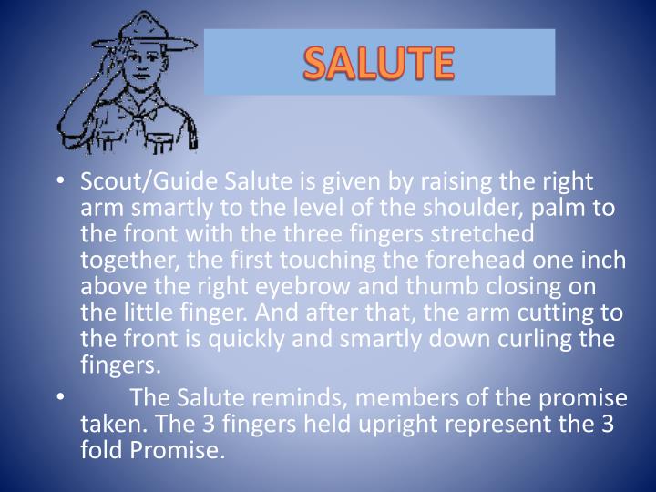 PPT - World Scout PowerPoint Presentation - ID:4018611
