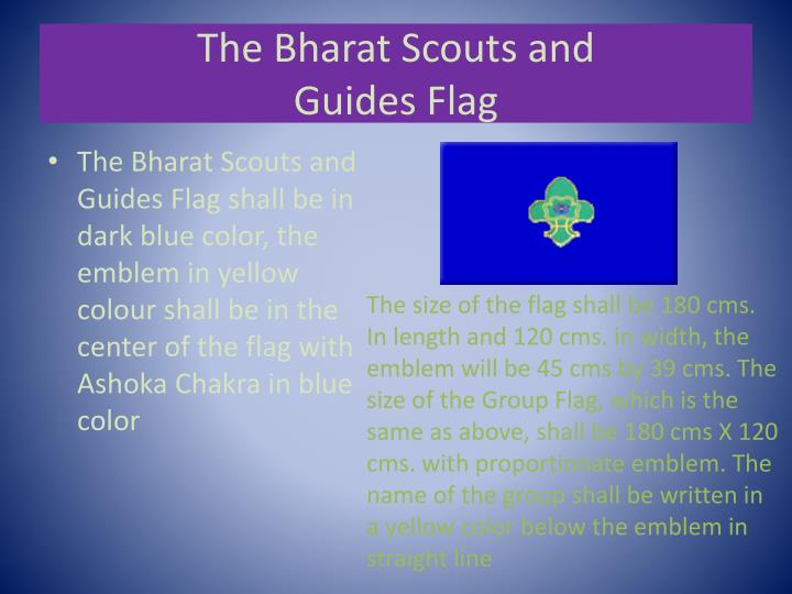 PPT - World Scout PowerPoint Presentation - ID:4018611