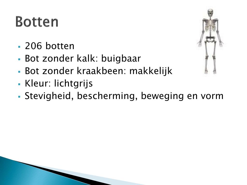 PPT - Sportstroom PowerPoint Presentation, free download - ID:4019174