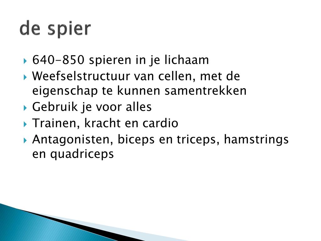 PPT - Sportstroom PowerPoint Presentation, free download - ID:4019174