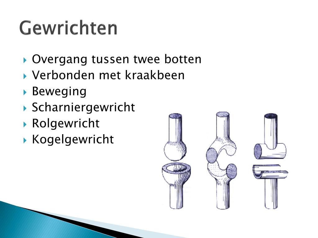 PPT - Sportstroom PowerPoint Presentation, free download - ID:4019174