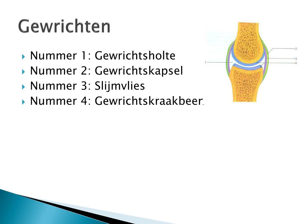 PPT - Sportstroom PowerPoint Presentation, free download - ID:4019174