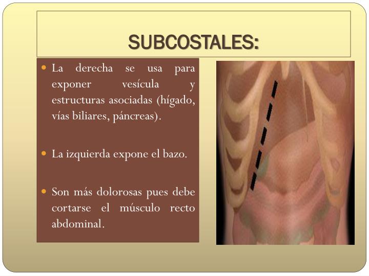 PPT - INCISIONES QUIRÚRGICAS PowerPoint Presentation - ID:4019214