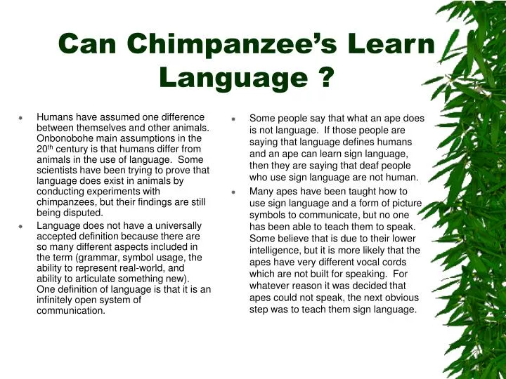 PPT - Can Chimpanzee’s Learn Language ? PowerPoint Presentation, free ...
