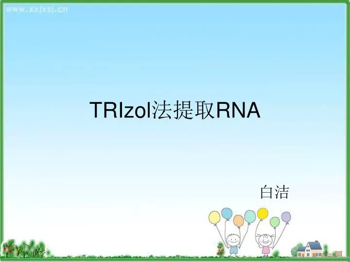 PPT - TRIzol 法提取 RNA PowerPoint Presentation, free download - ID:4019806