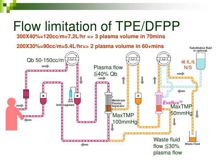PPT - Double Filtration Plasmapheresis (DFPP) PowerPoint Presentation ...