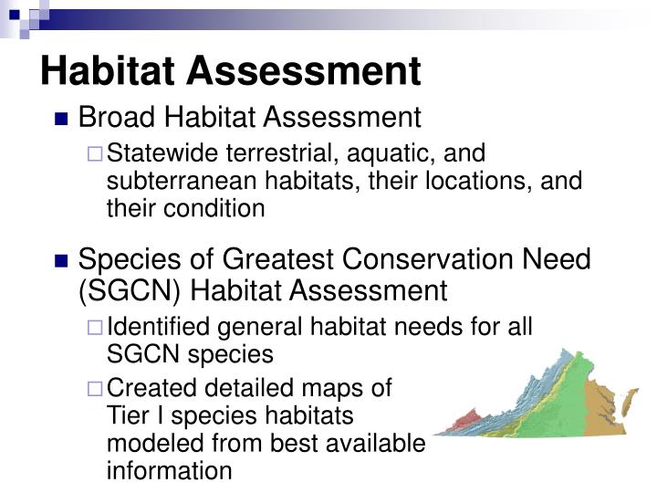 PPT - Virginia Wildlife Action Plan PowerPoint Presentation - ID:4022056