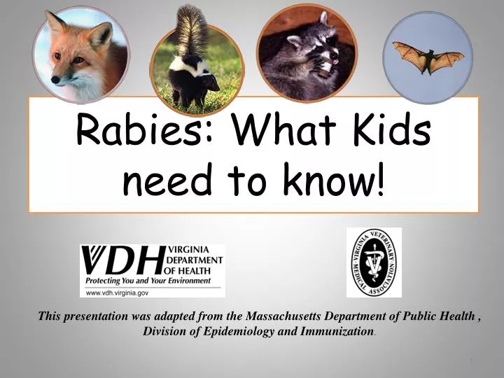 PPT - Rabies: What Kids need to know! PowerPoint Presentation, free ...