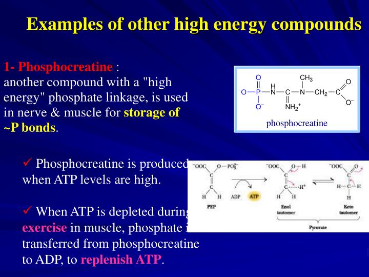 PPT - High Energy Compounds PowerPoint Presentation - ID:4022592