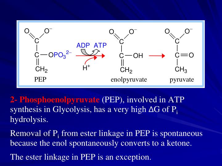 PPT - High Energy Compounds PowerPoint Presentation - ID:4022592