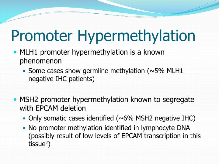 PPT - Lynch Syndrome Case Study PowerPoint Presentation - ID:4022696
