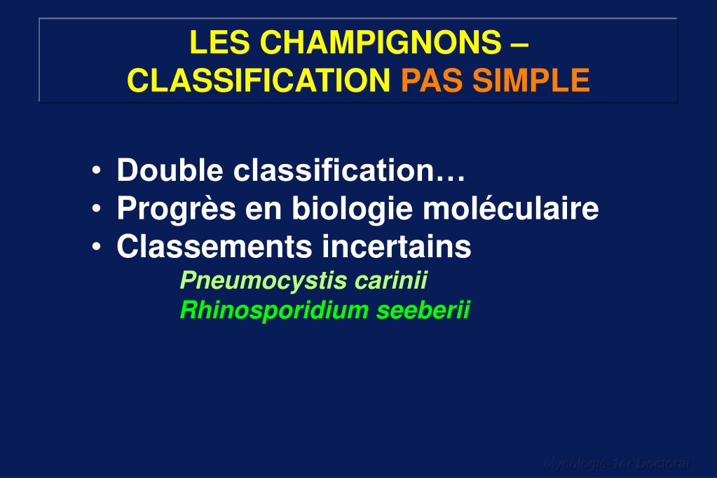 PPT - B ernard Mignon bmignon@ulg.ac.be Université de Liège Faculté de ...