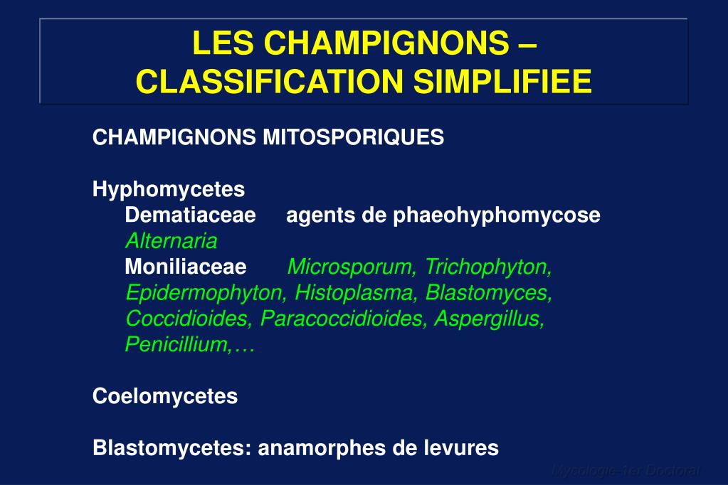 PPT - B ernard Mignon bmignon@ulg.ac.be Université de Liège Faculté de ...