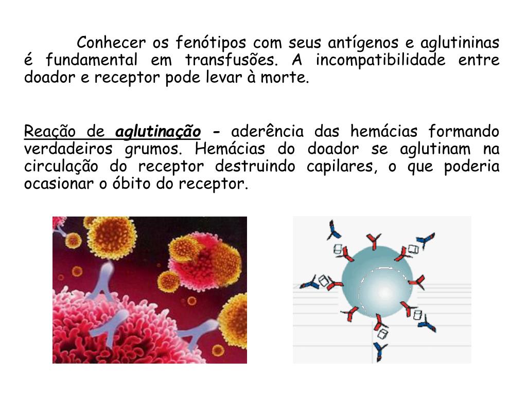 PPT - GENÉTICA IV SISTEMA IMUNOLÓGICO ALELOS MÚLTIPLOS GENÉTICA DOS ...