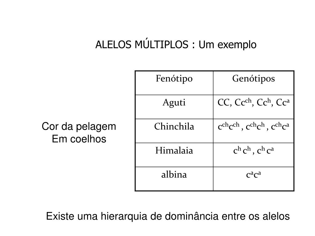 PPT - GENÉTICA IV SISTEMA IMUNOLÓGICO ALELOS MÚLTIPLOS GENÉTICA DOS ...