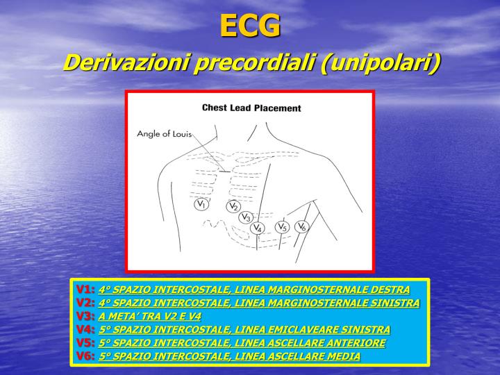 PPT - L’ECG normale PowerPoint Presentation - ID:4026843