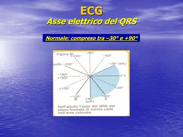 PPT - L’ECG normale PowerPoint Presentation - ID:4026843