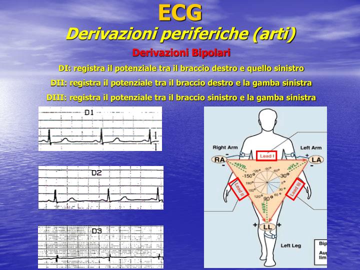 PPT - L’ECG normale PowerPoint Presentation - ID:4026843
