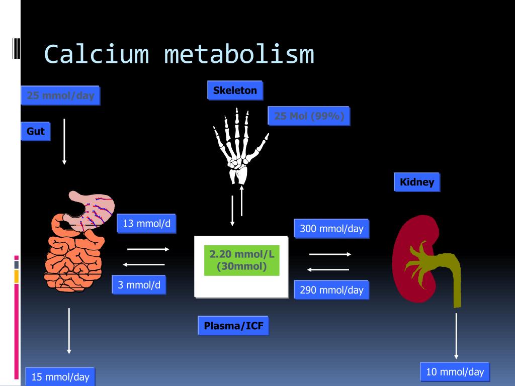 PPT - RACHITIS, VITAMIN D RICKETSIA, OSTEOMALACIA PowerPoint ...
