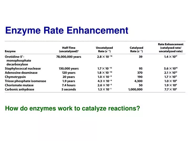 PPT - Enzyme Rate Enhancement PowerPoint Presentation, free download ...