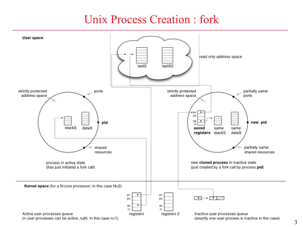 PPT - Generic and Unix Processes : fork, exec, wait PowerPoint ... PPT - Generic and Unix Processes : fork, exec, wait PowerPoint ...