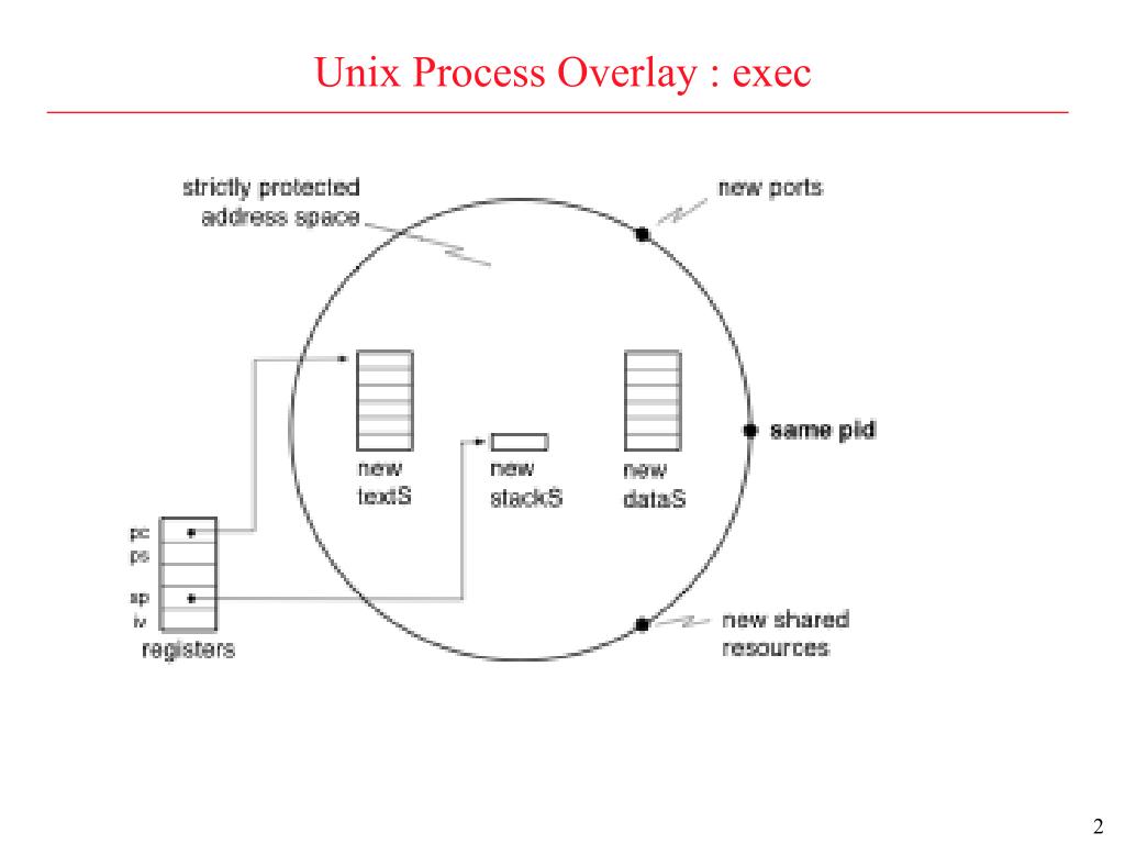 PPT - Generic and Unix Processes : fork, exec, wait PowerPoint ... PPT - Generic and Unix Processes : fork, exec, wait PowerPoint ...
