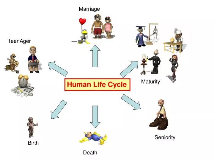 PPT - Birth PowerPoint Presentation, free download - ID:4029062