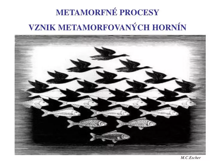 PPT - METAMORFNÉ PROCESY VZNIK METAMORFOVANÝCH HORNÍN PowerPoint ...