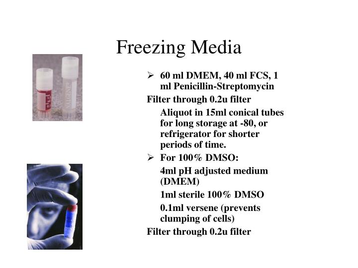 PPT - Making a Master or Working Cell Bank PowerPoint Presentation - ID ...