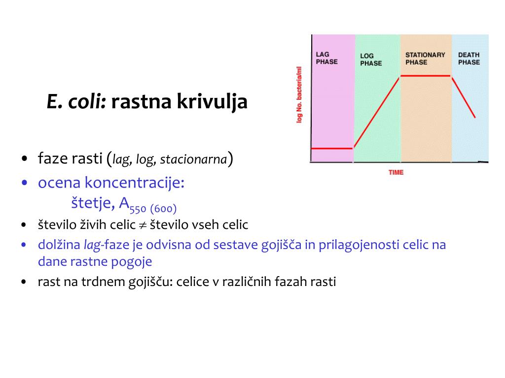 PPT - Zakon o ravnanju z gensko spremenjenimi organizmi (ZRGSO ...