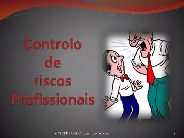PPT - Controlo de riscos Profissionais PowerPoint Presentation, free download - ID:4035616