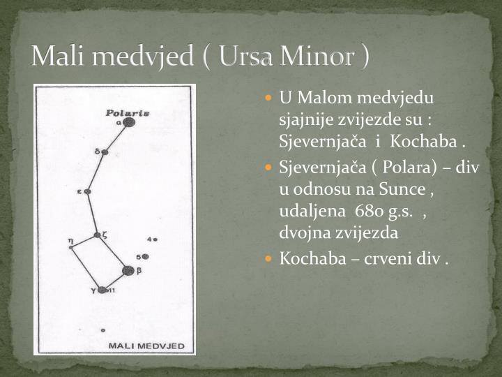 PPT - UPOZNAJEMO ZVIJE ?A- CIRKUMPOLARNA ZVIJE ?A PowerPoint ...