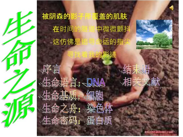 PPT - 生命之源 PowerPoint Presentation, free download - ID:4035893