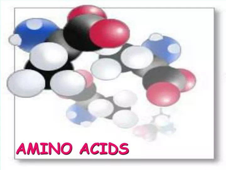 PPT - AMINO ACIDS PowerPoint Presentation, free download - ID:4036476