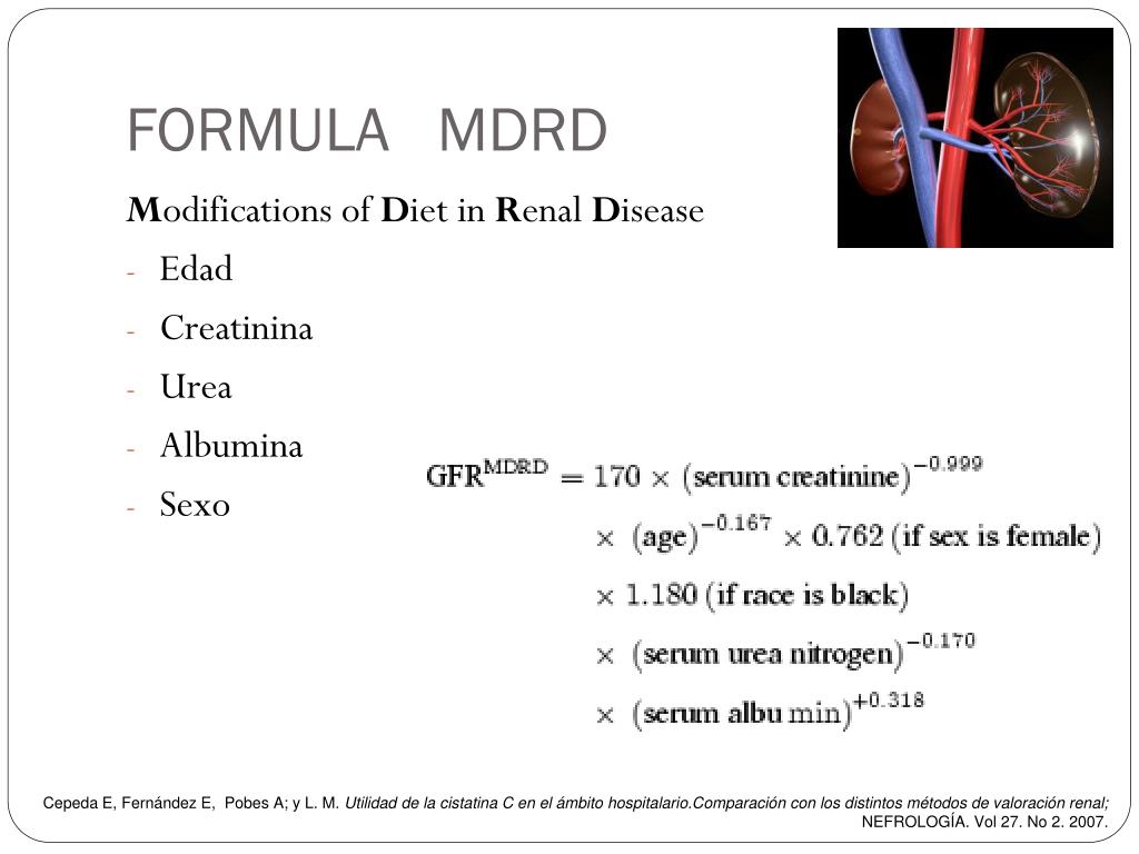 PPT - Insuficiencia Renal Crónica PowerPoint Presentation, free ...