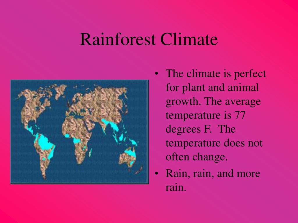 PPT Rainforest Biome PowerPoint Presentation Free Download ID 4039624