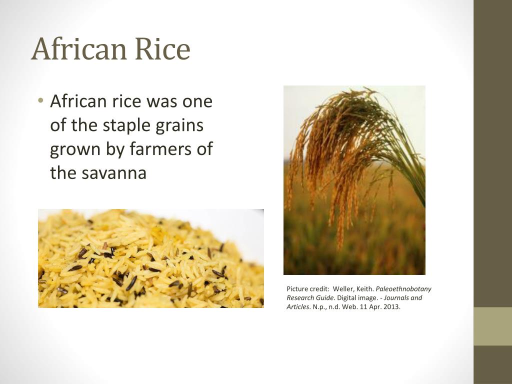 PPT - Regions of West Africa PowerPoint Presentation, free download ...