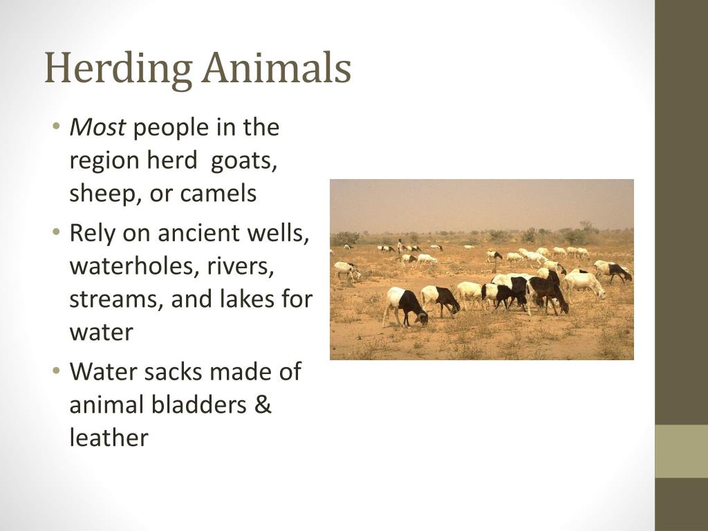 PPT - Regions of West Africa PowerPoint Presentation, free download ...