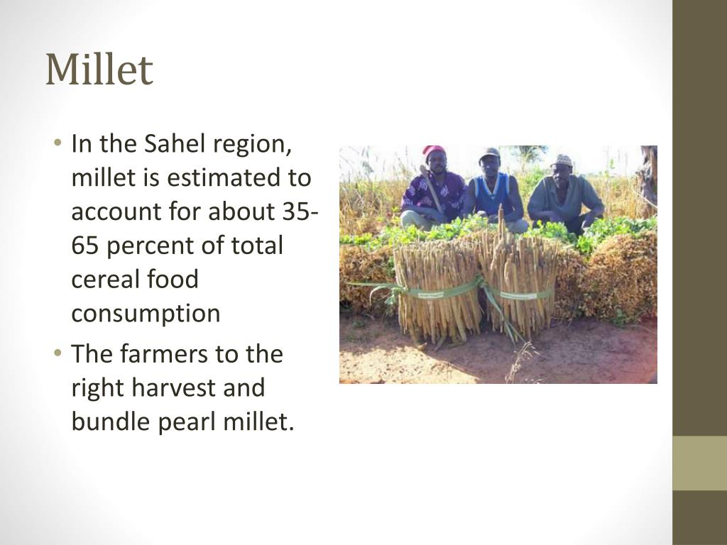 PPT - Regions of West Africa PowerPoint Presentation, free download ...