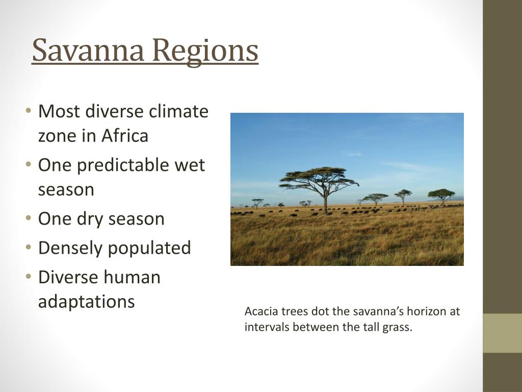 PPT - Regions of West Africa PowerPoint Presentation, free download ...
