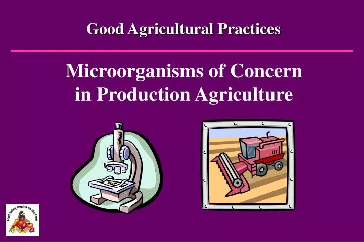 PPT - Good Agricultural Practices PowerPoint Presentation, free ...